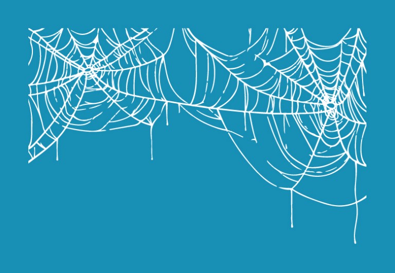 Cobweb – Mesh Stencil – The Blanc Canvas